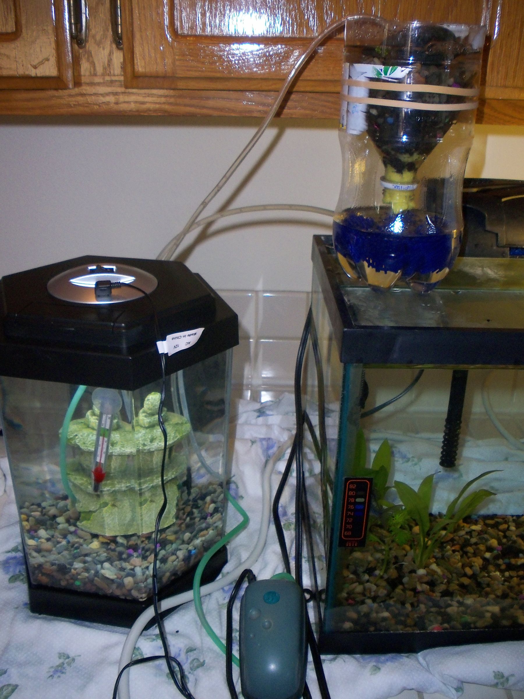 Drip Garden Aquarium Filter : 8 Steps - Instructables