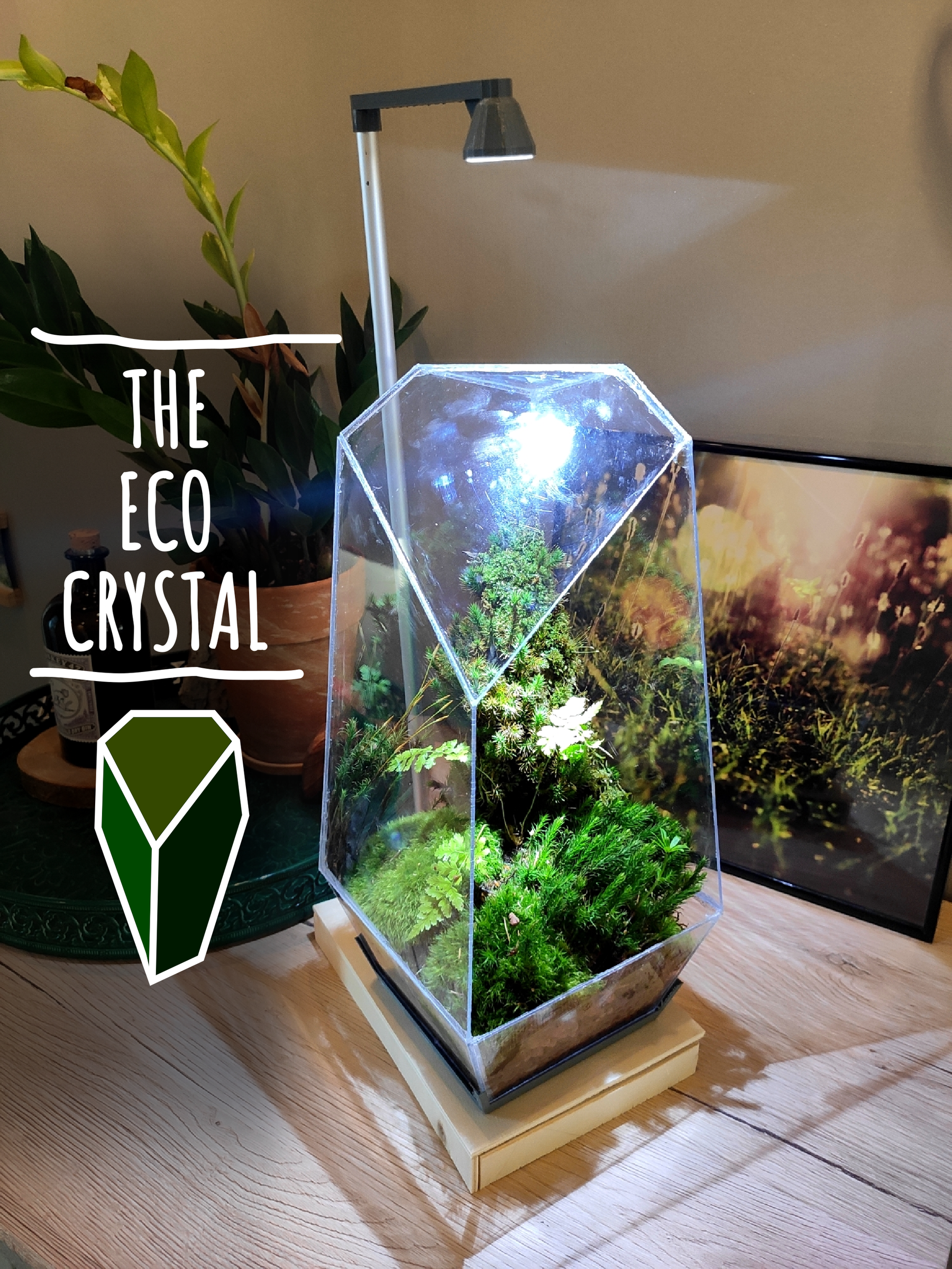 The Eco-Crystal - Mini Ecosystem in a Crystal Shaped Planter : 7 Steps ...