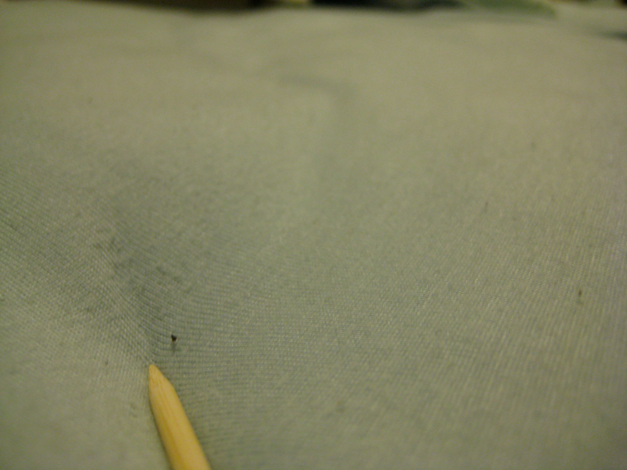 How to Catch Fleas : 7 Steps - Instructables