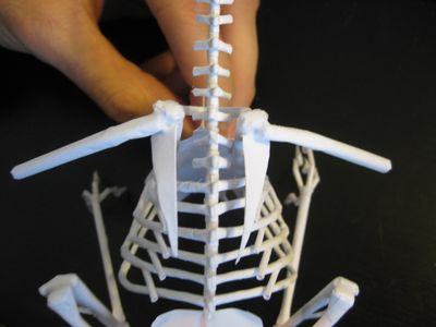 Paper Crow Skeleton : 13 Steps (with Pictures) - Instructables