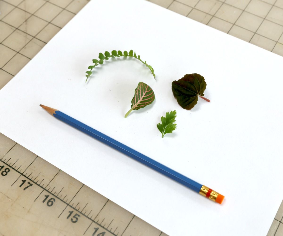 10 Unusual Uses for Pencils : 11 Steps (with Pictures) - Instructables