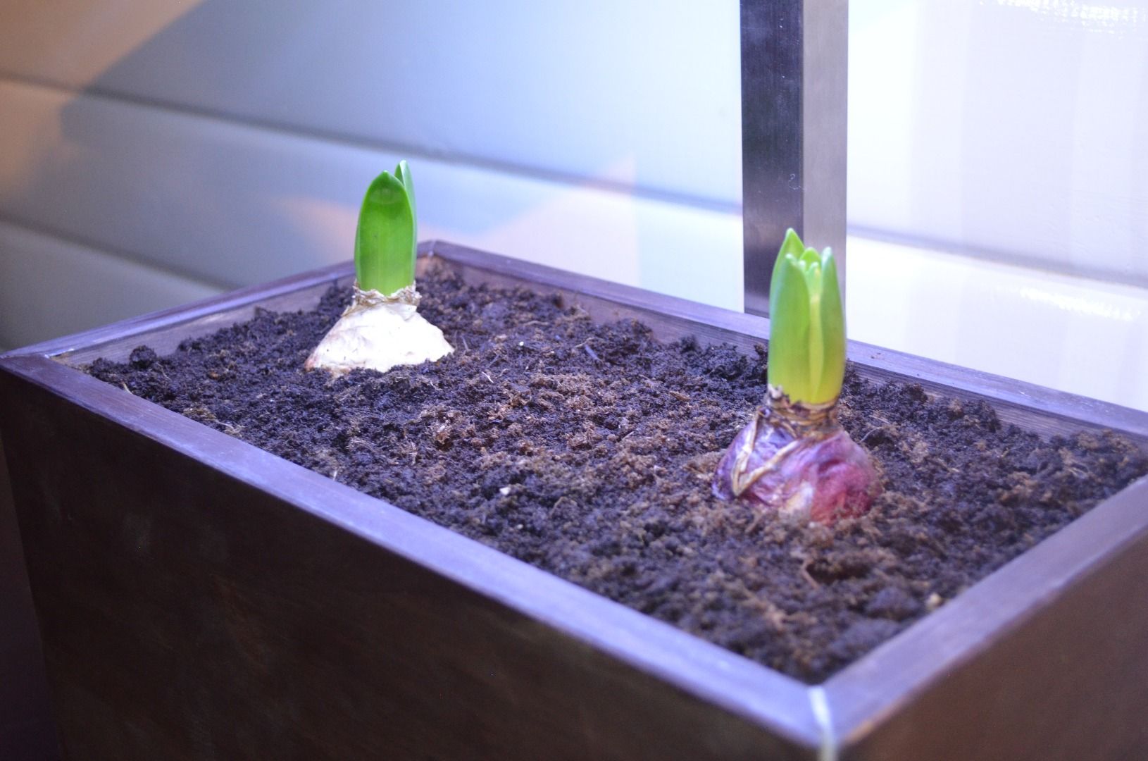 DIY Arduino Automatic Grow Box : 8 Steps (with Pictures) - Instructables