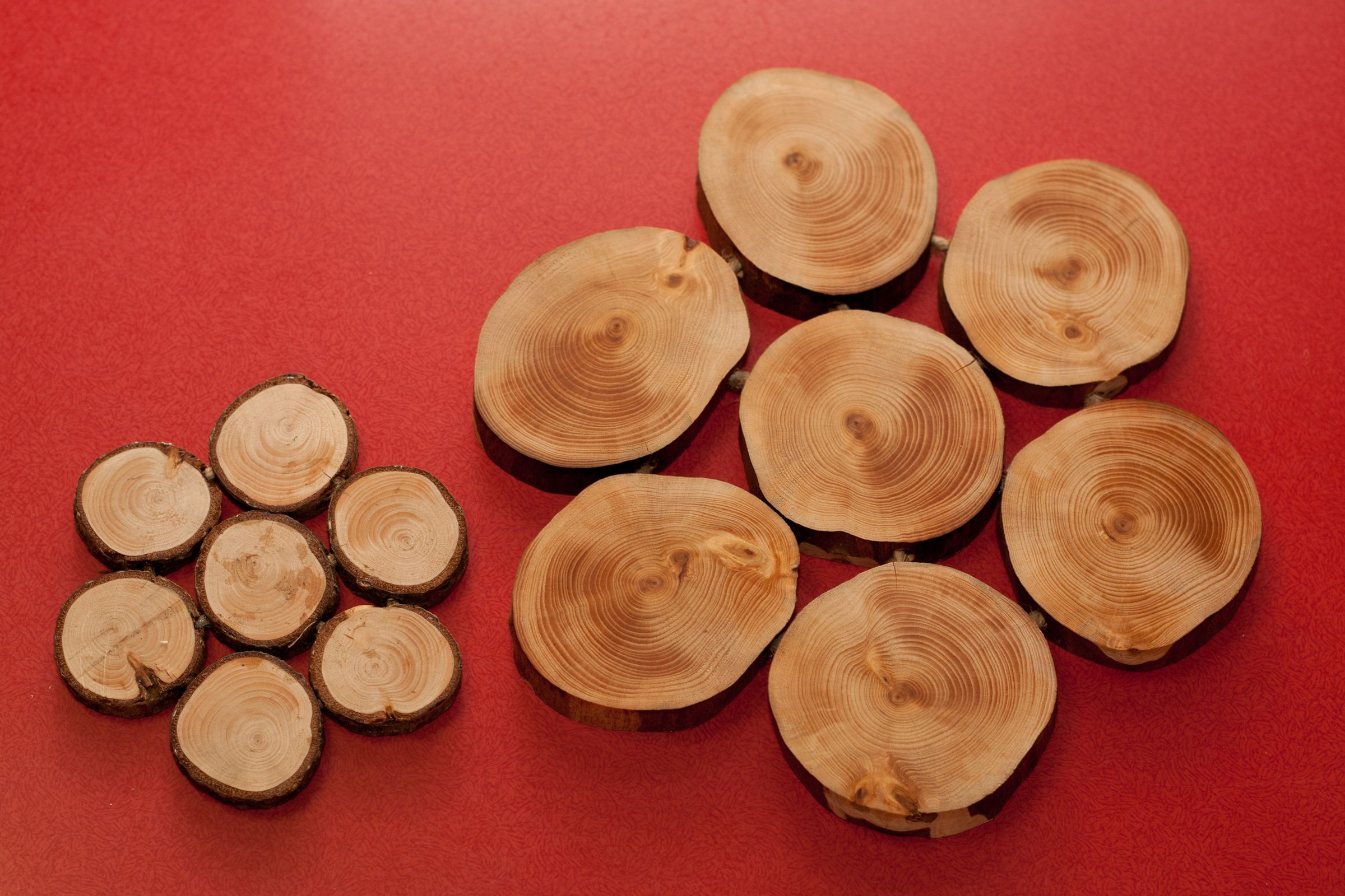 Wooden Branch Trivet : 10 Steps (with Pictures) - Instructables