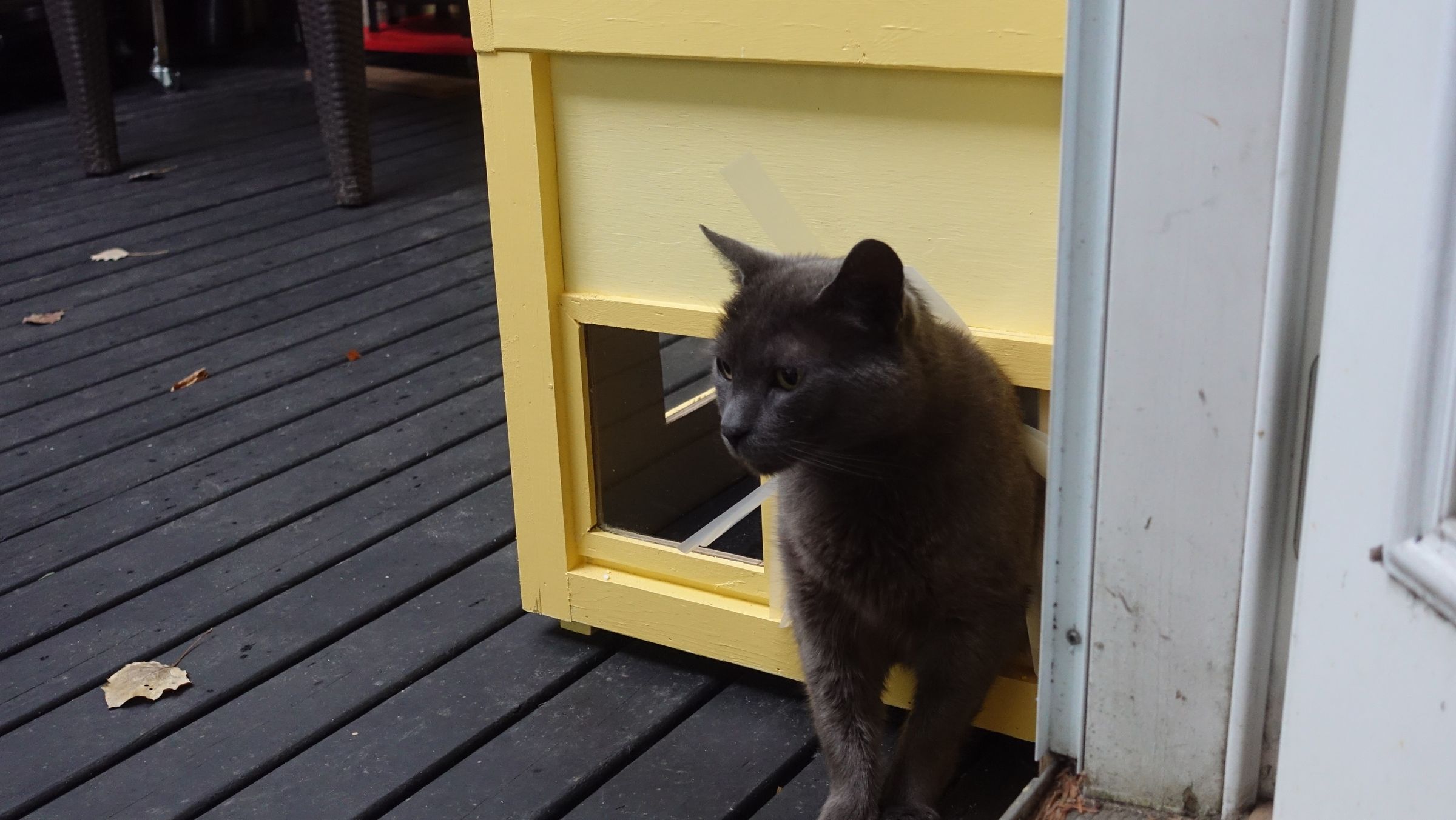 Heated Winter Cat Shelter and Seat : 6 Steps - Instructables