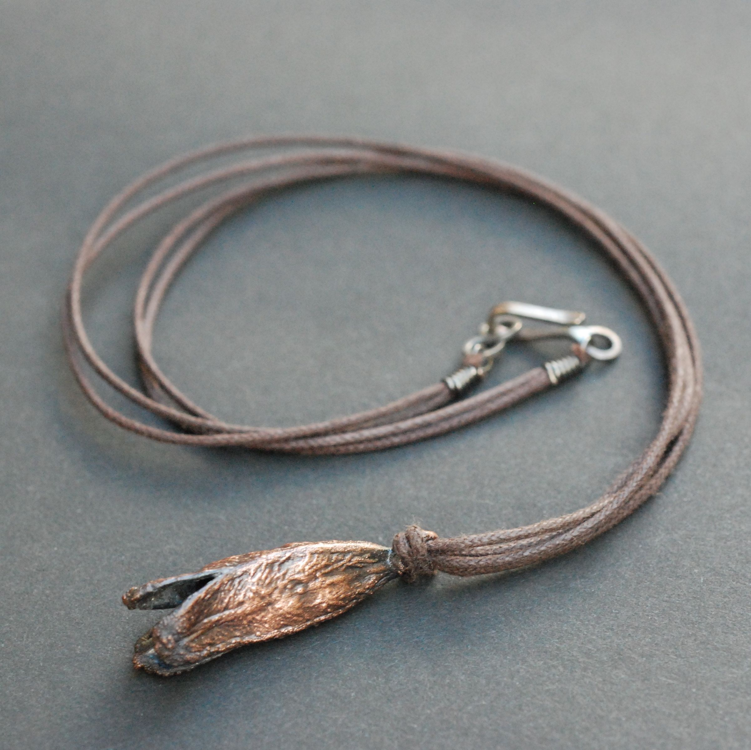 Electroforming an Iris Seed Pod : 18 Steps (with Pictures) - Instructables