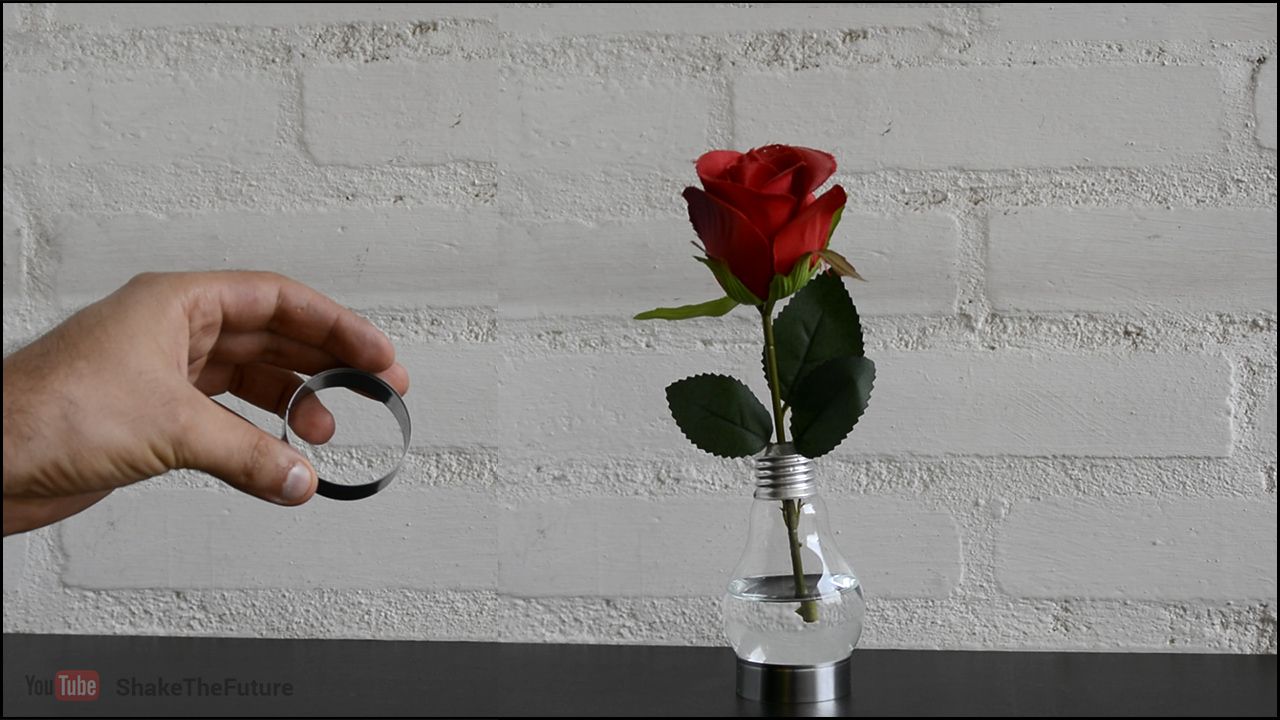 5 Things You Can Make From Light Bulbs : 15 Steps (with Pictures ...