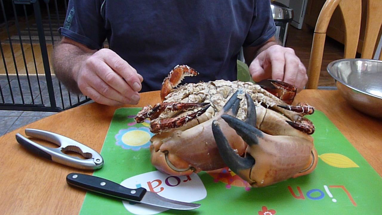 Live Crab How to Kill Instantly and Humanely Cooking Dressing and ...