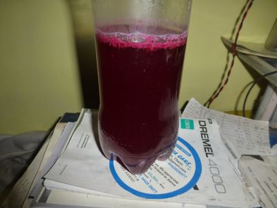 How to Make Jamun Wine : 8 Steps (with Pictures) - Instructables