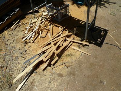 Plant Starting Flats : 8 Steps (with Pictures) - Instructables