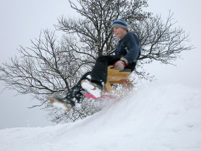 DIY Ski Bob or Ski Sled - Ski Rodel Selber Bauen (with Pictures ...