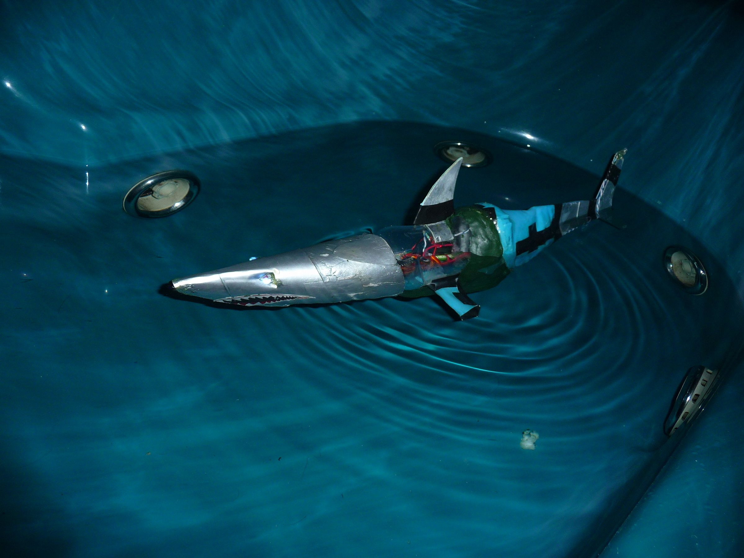 Robot Fish (for Cistern Inspection) : 6 Steps (with Pictures ...