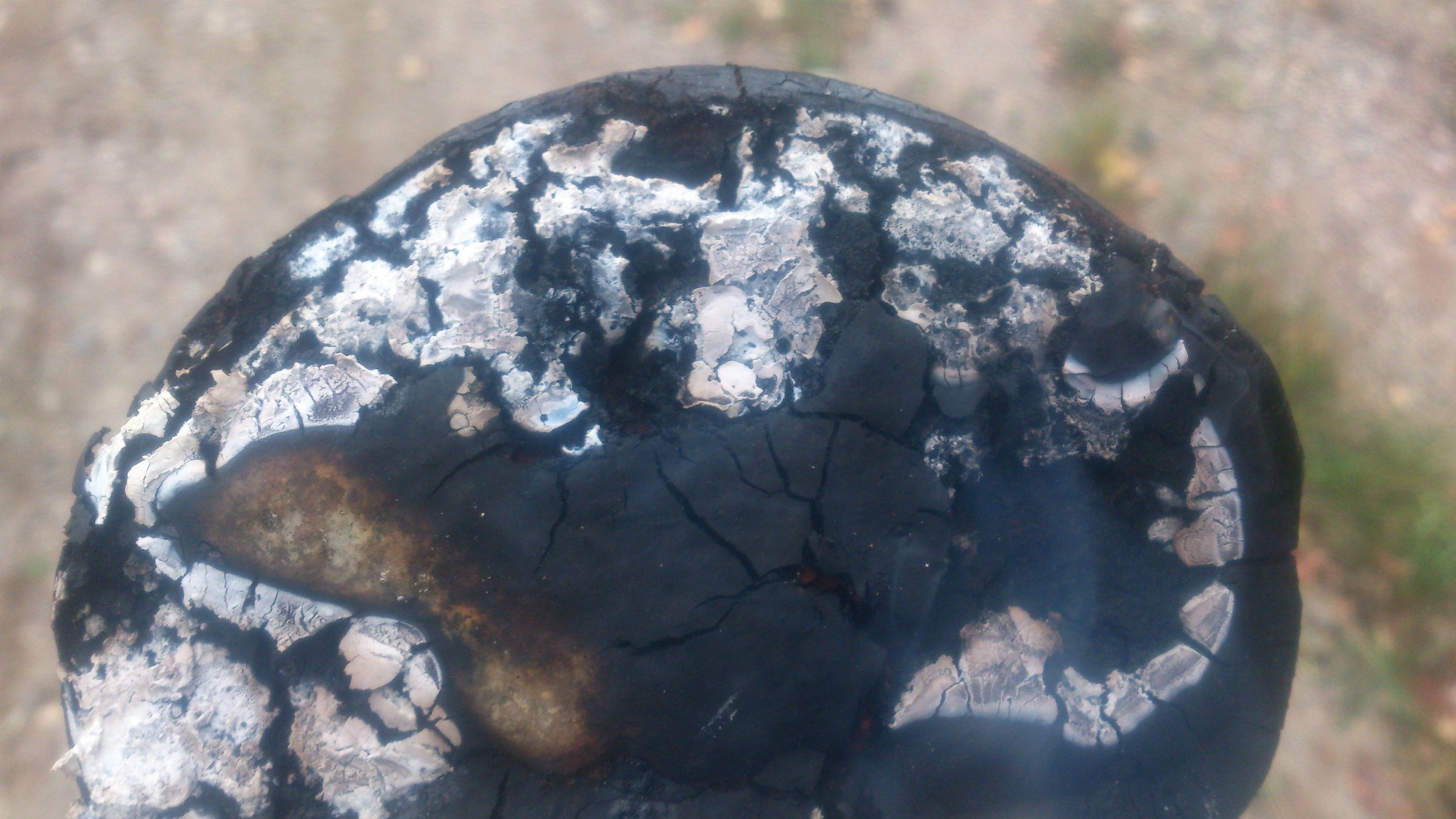 How to Carry Embers : 5 Steps (with Pictures) - Instructables