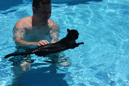 How to Teach a Cat to Swim. : 8 Steps (with Pictures) - Instructables