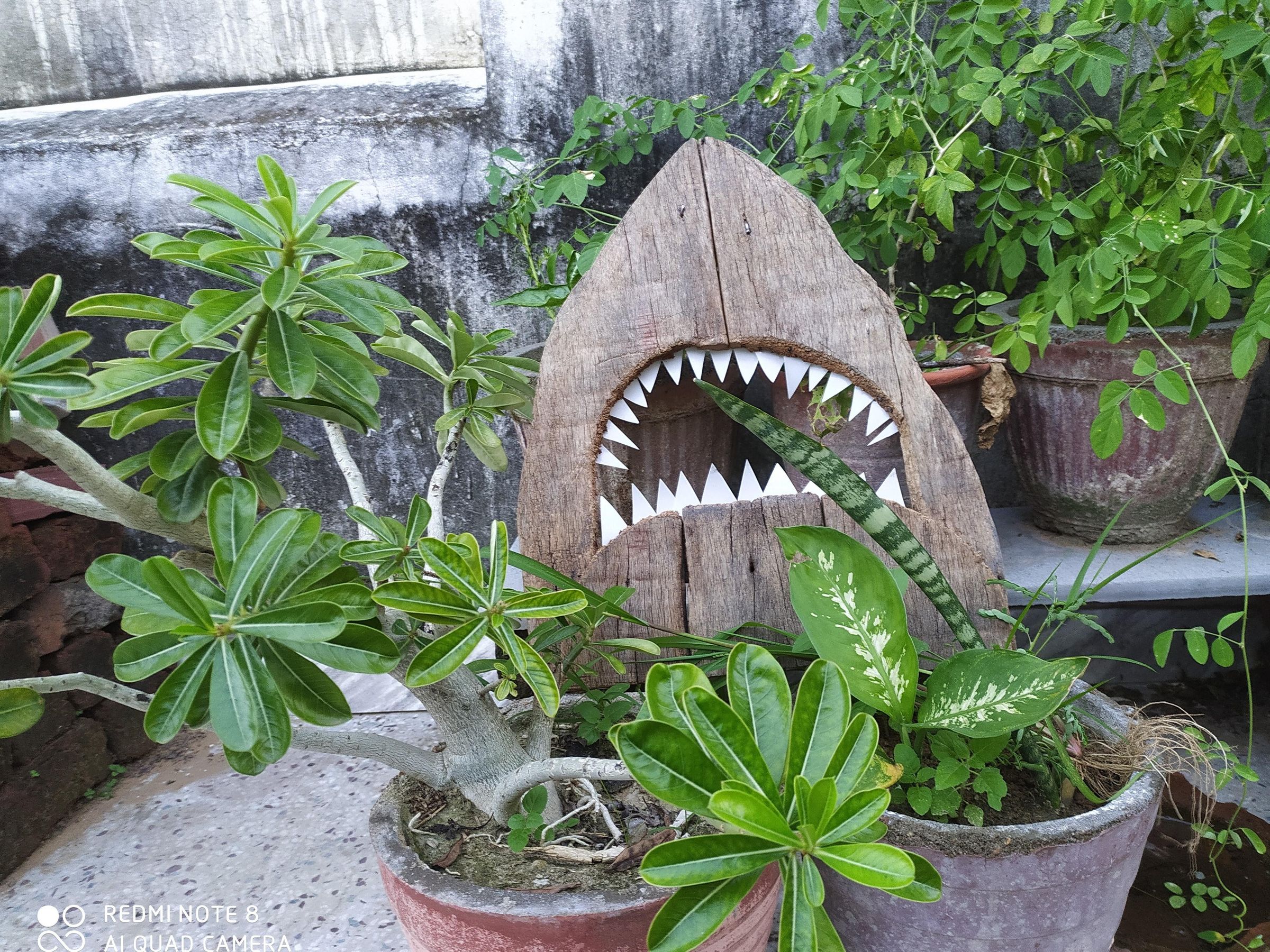 Shark From Reclaimed Wood : 6 Steps (with Pictures) - Instructables
