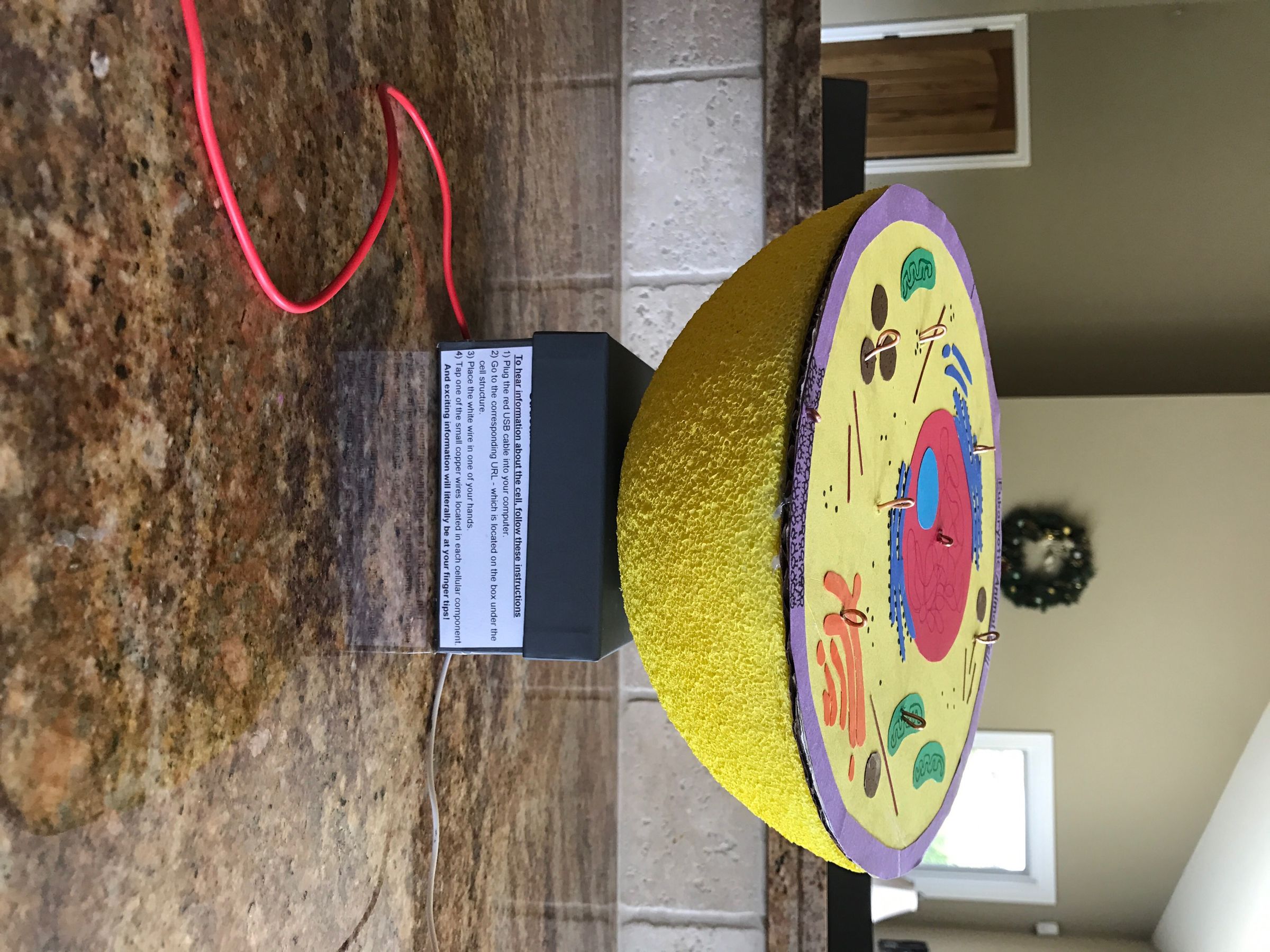 Interactive Cell Model : 28 Steps (with Pictures) - Instructables