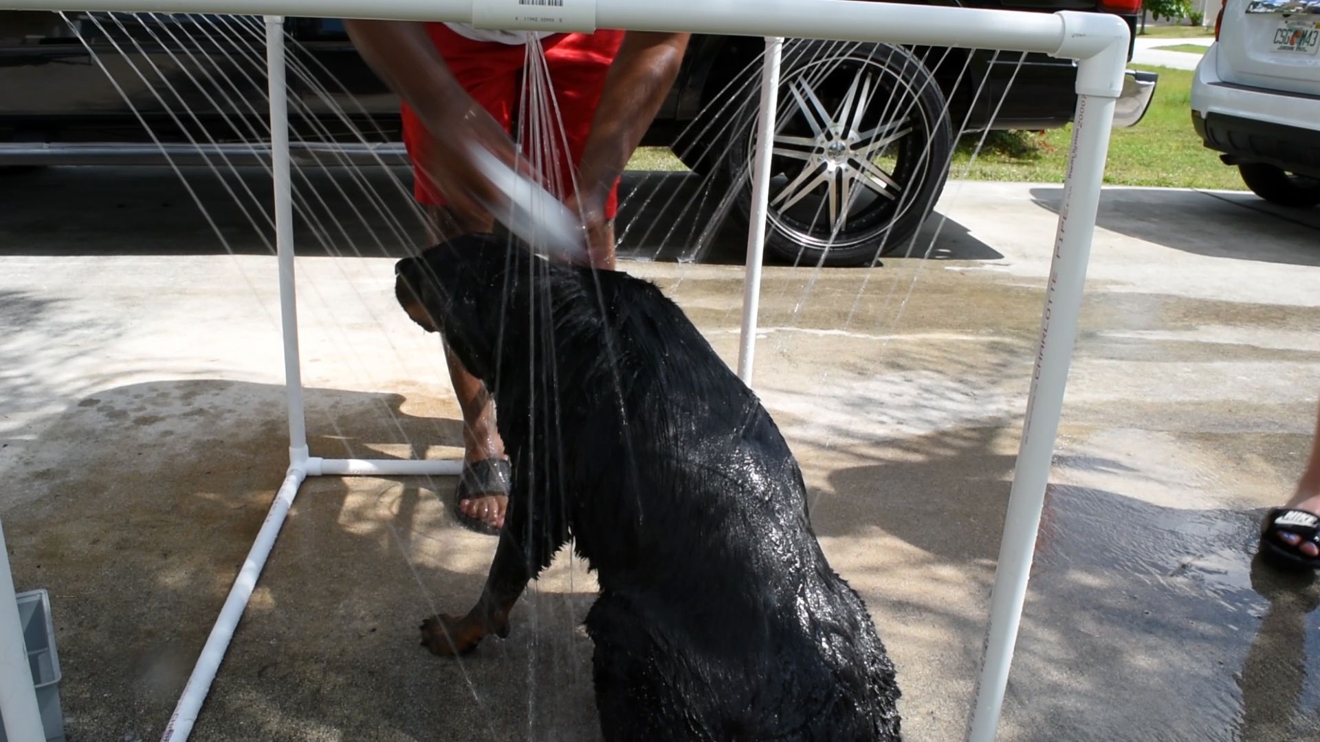 Outdoor Shower for Your Dog : 8 Steps (with Pictures) - Instructables