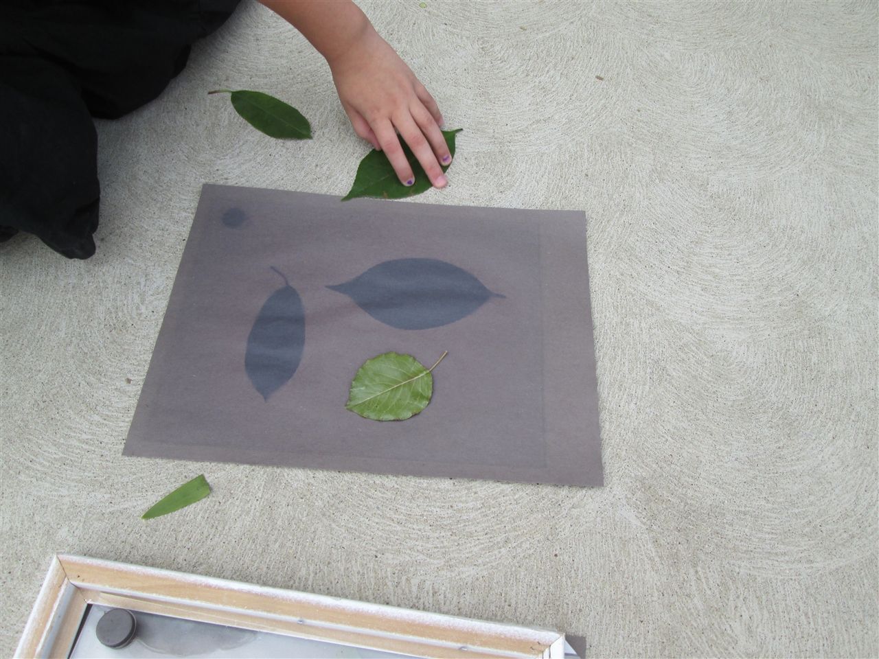 DIY Construction Paper Solar Prints : 6 Steps (with Pictures ...