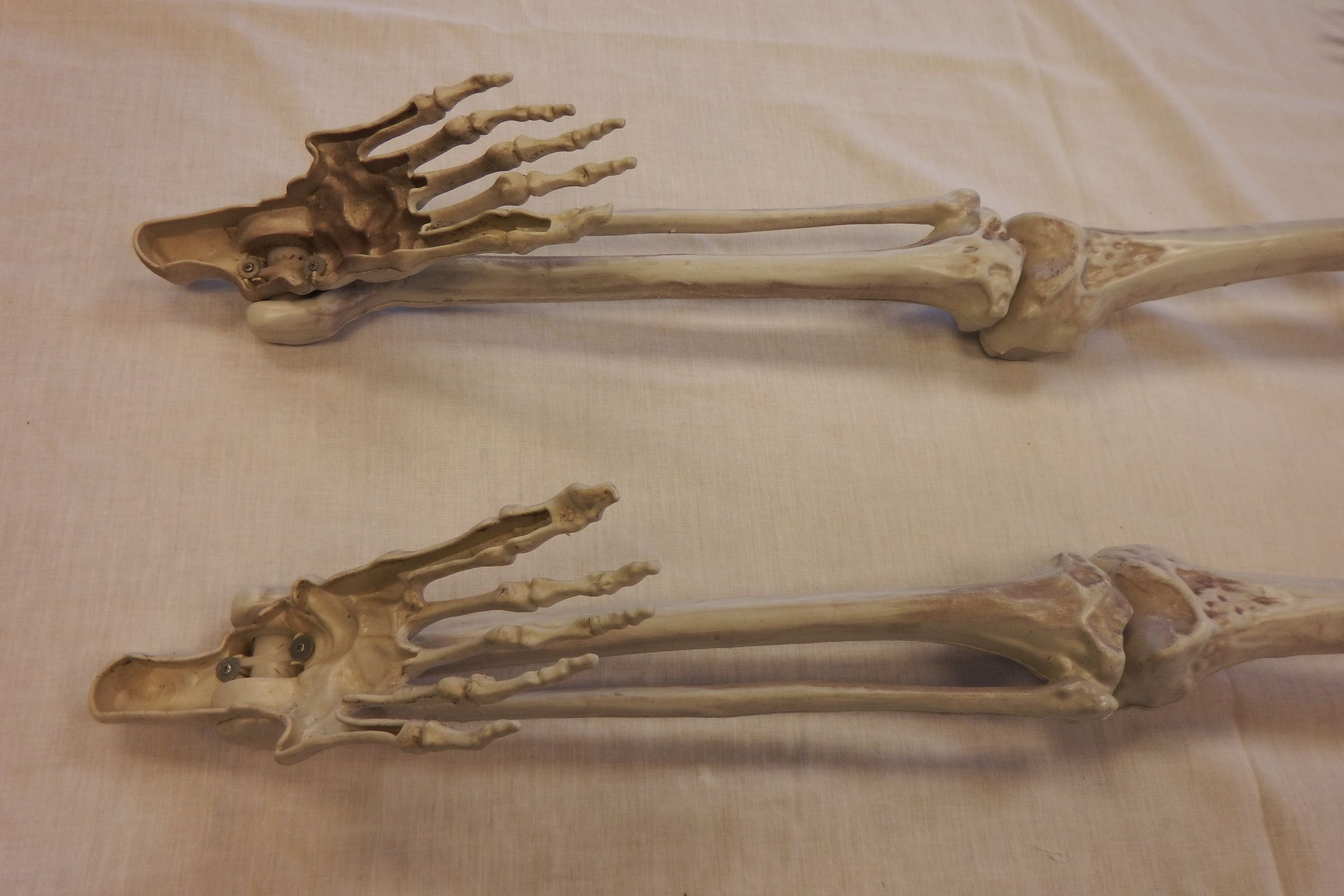 Hack and Repair Plastic Halloween Skeletons : 9 Steps - Instructables