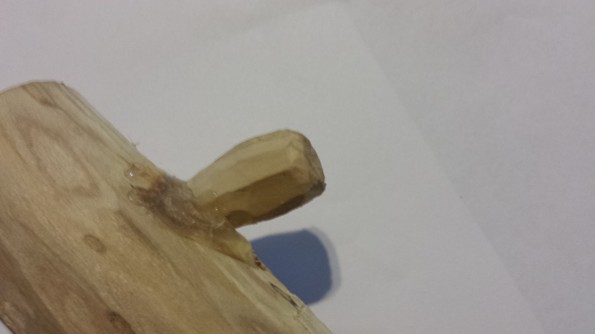 Build Your Own Atlatl : 21 Steps (with Pictures) - Instructables