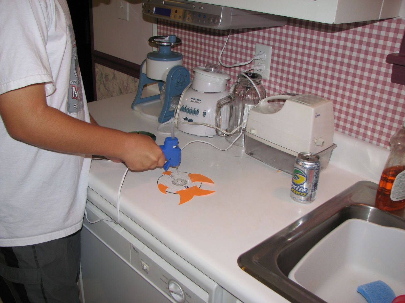 CD ROM Fish Craft : 8 Steps (with Pictures) - Instructables