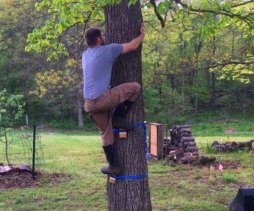 Tree Steps – a Tree Friendly Climbing Device for the Adventurous : 5 ...
