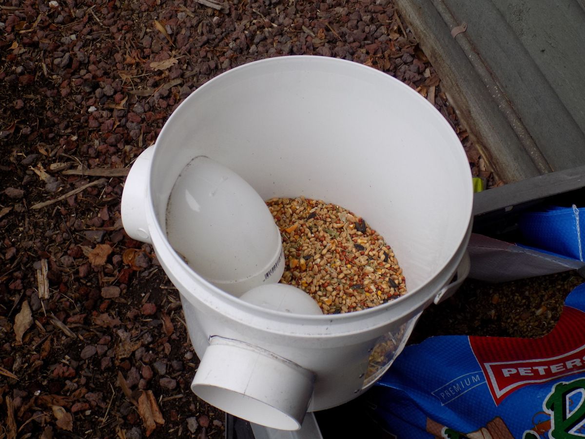 Super Simple Chicken Feeder : 5 Steps (with Pictures) - Instructables