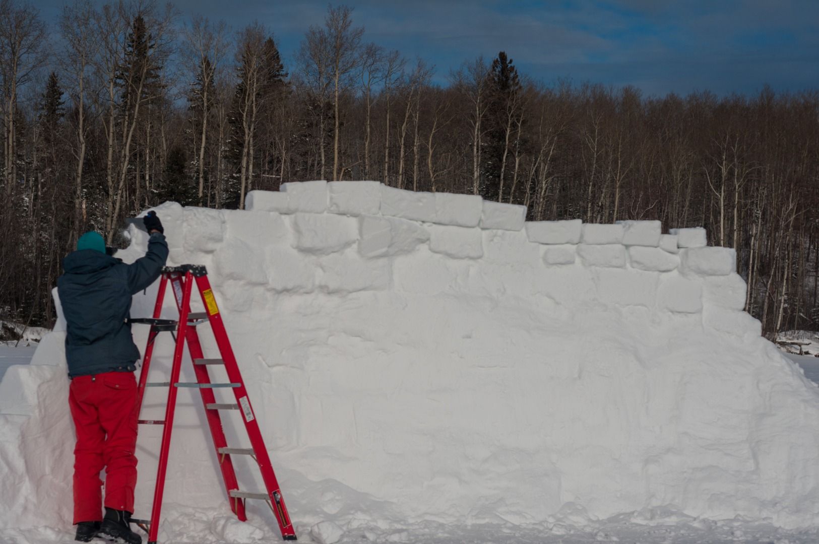 Outdoor Movie Theater With Snow Wall and Projector : 8 Steps (with ...