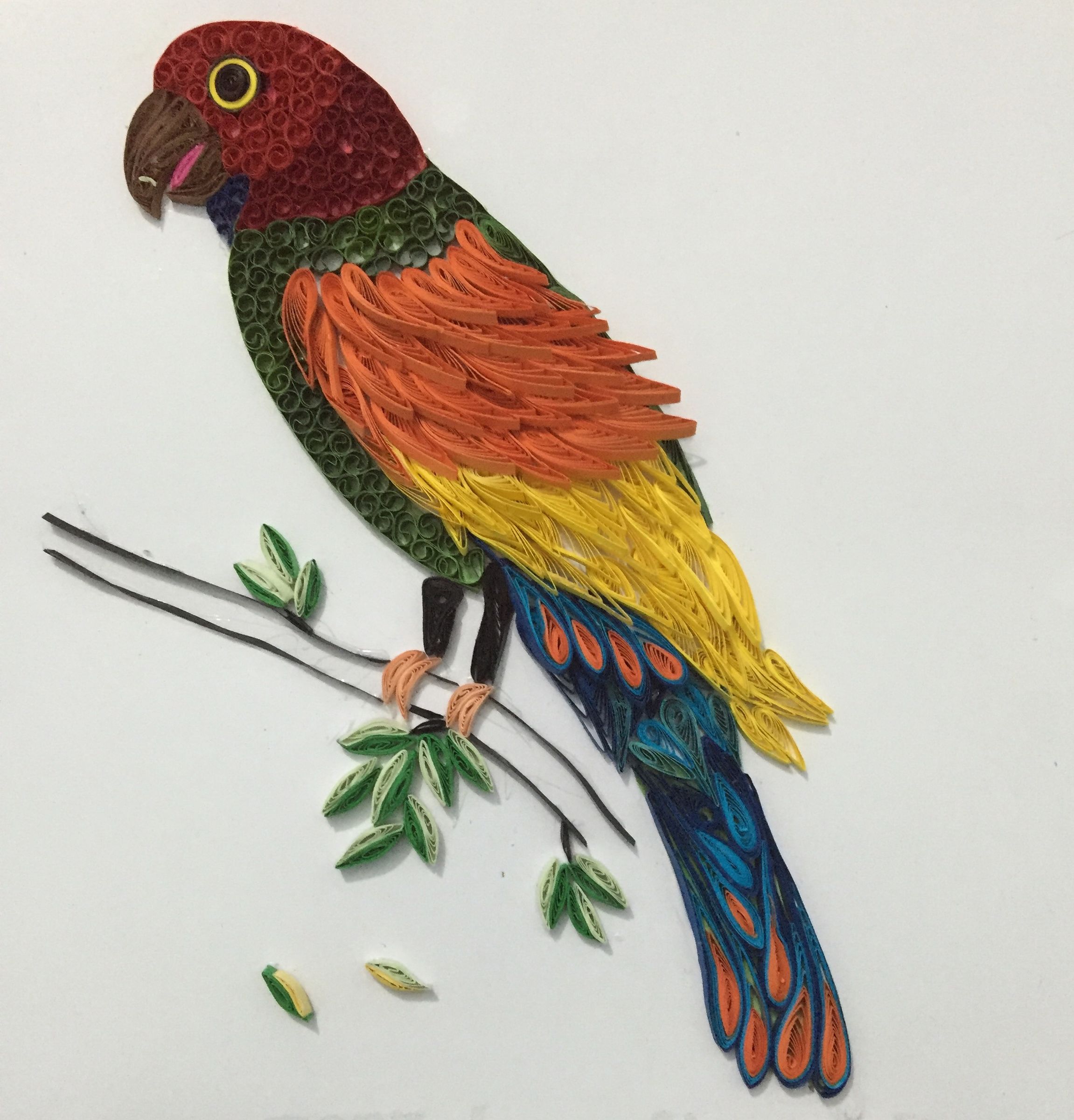 Quilled Parrot (with Pictures) - Instructables