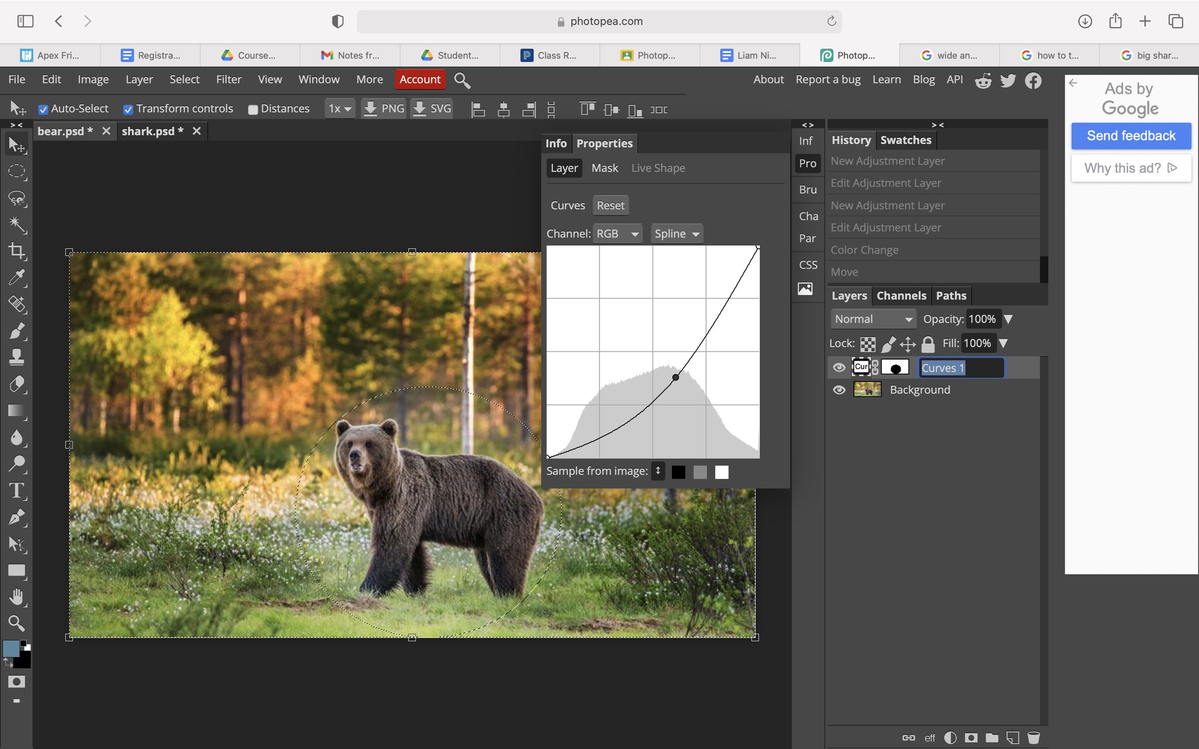 Photopea Tutorial : 8 Steps - Instructables