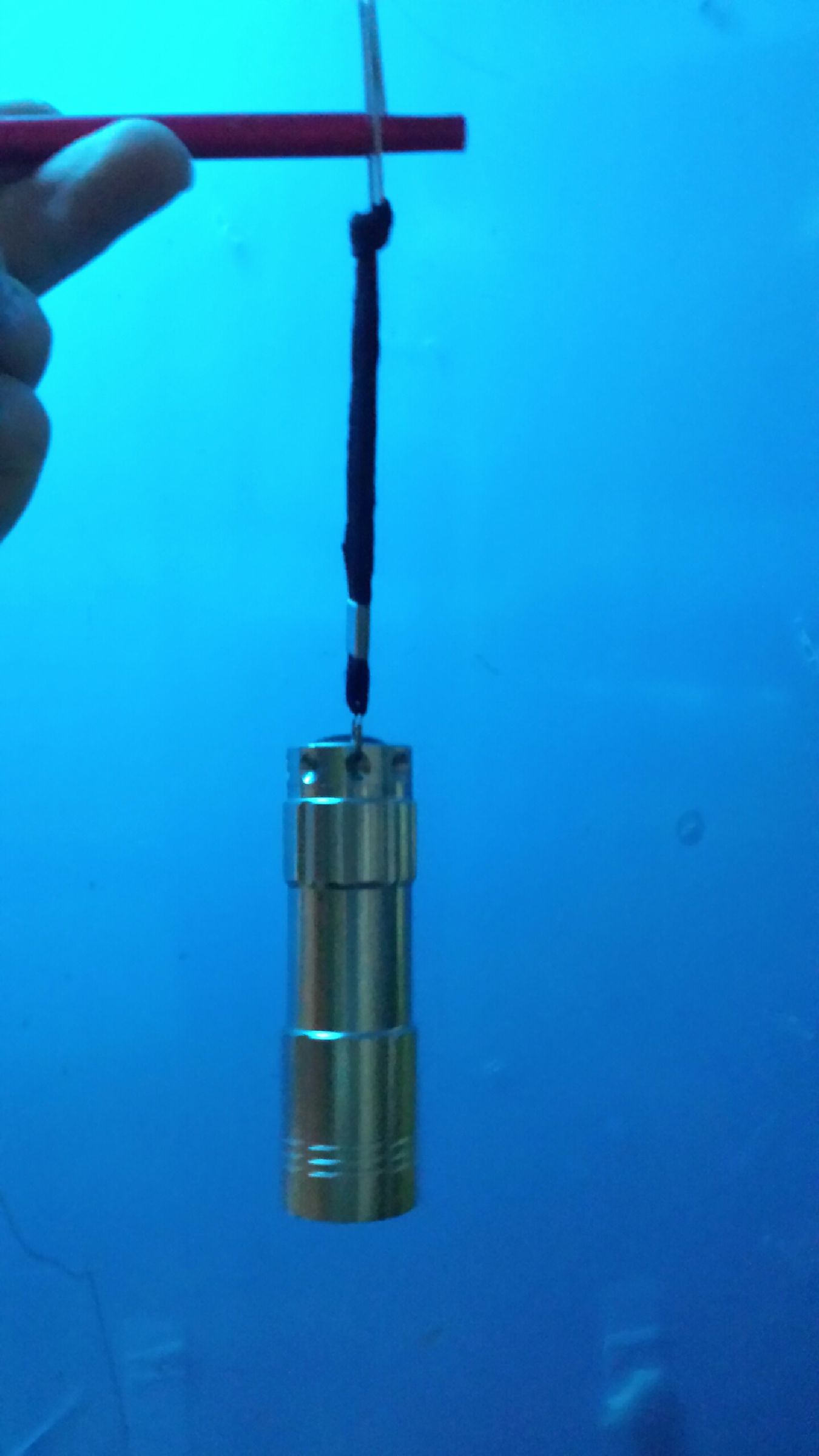 DIY Artificial Muscle : 16 Steps - Instructables
