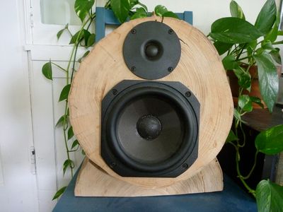Tree Speakers : 10 Steps (with Pictures) - Instructables