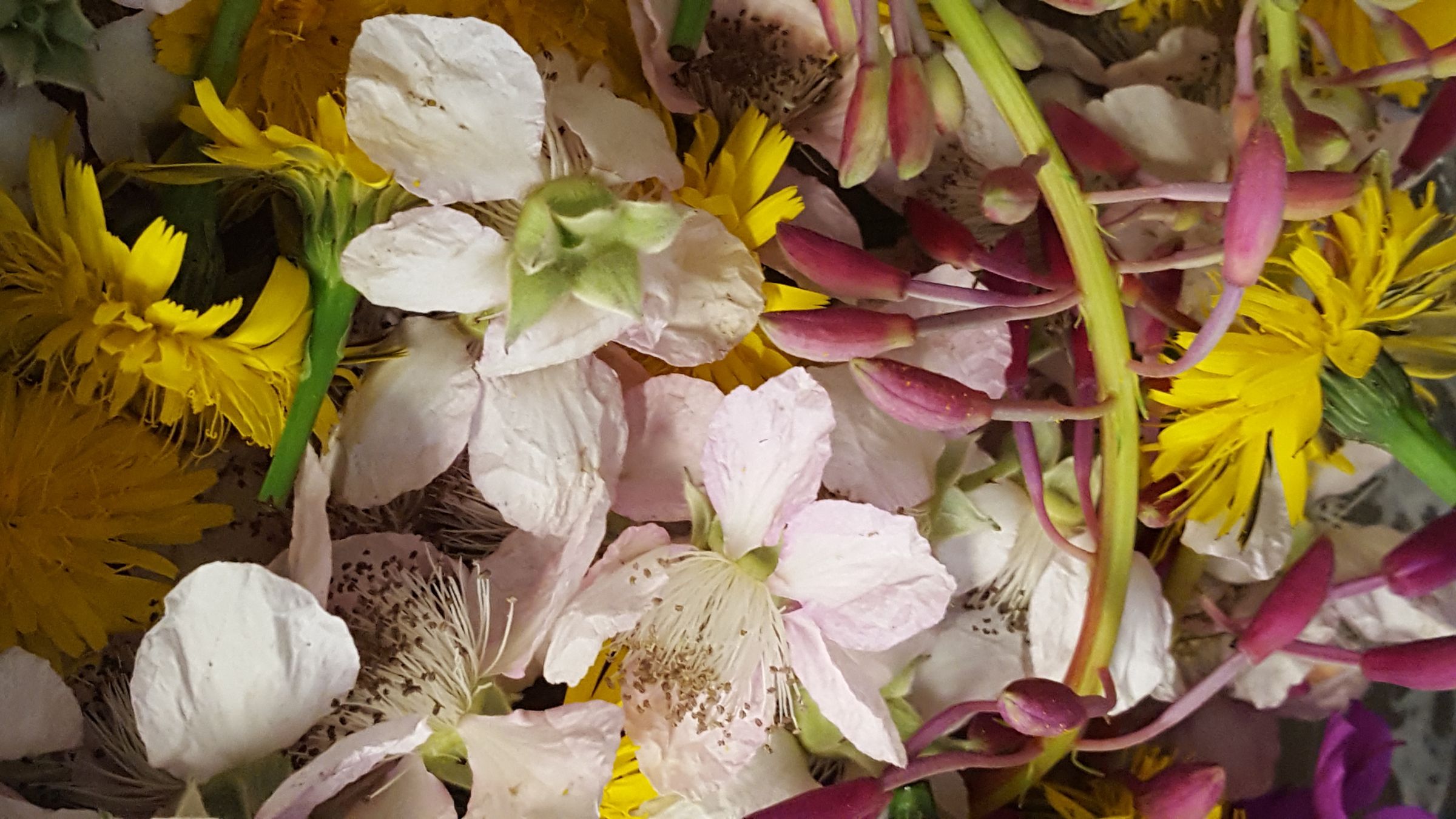 Honey Bee Syrup (with Pictures) - Instructables