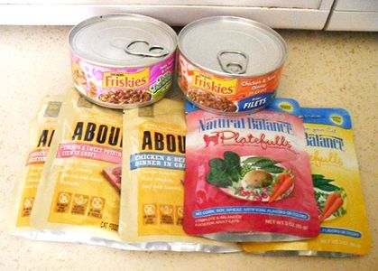 Emergency Pet Evacuation Pack : 8 Steps (with Pictures) - Instructables