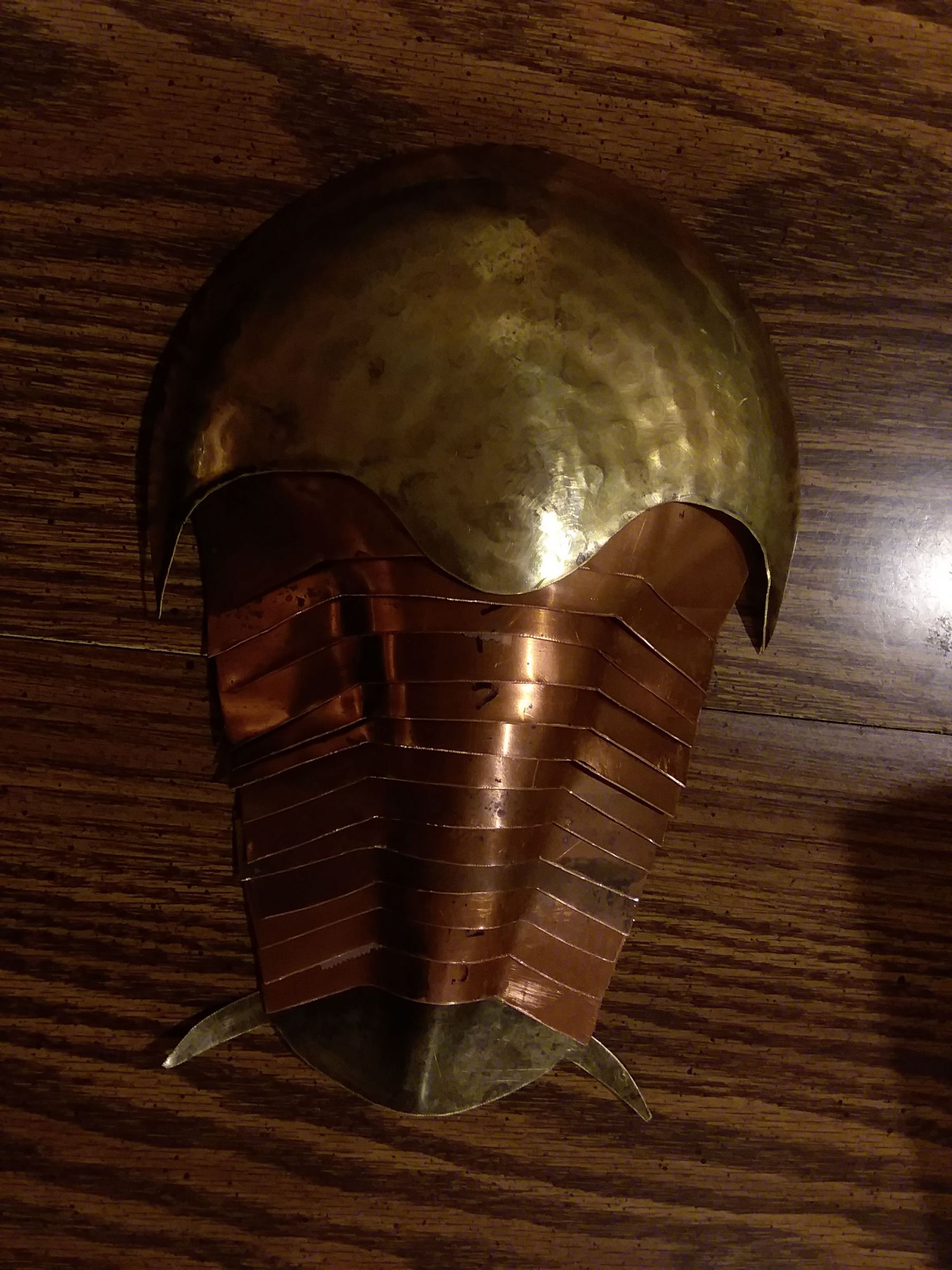 Trilobite Metal Sculpture or Wall Art : 6 Steps (with Pictures ...