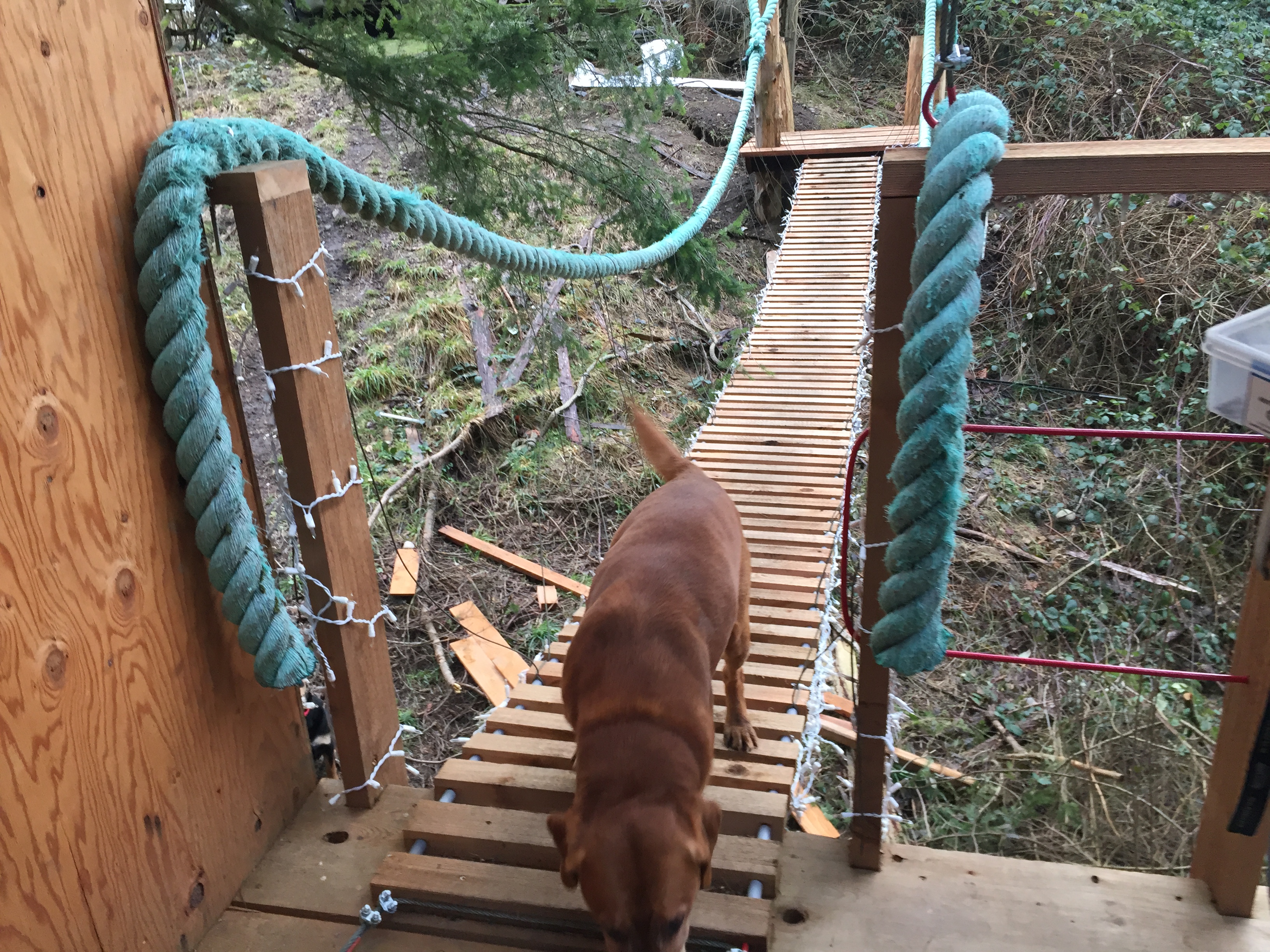 Treehouse Build : 10 Steps (with Pictures) - Instructables