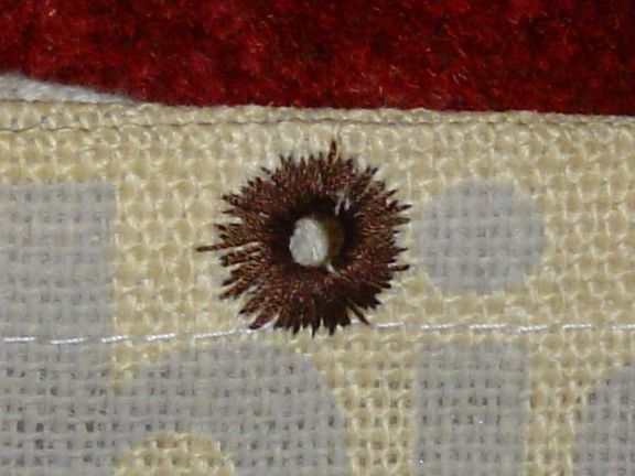 Replace Eyelets by Sewing : 4 Steps (with Pictures) - Instructables