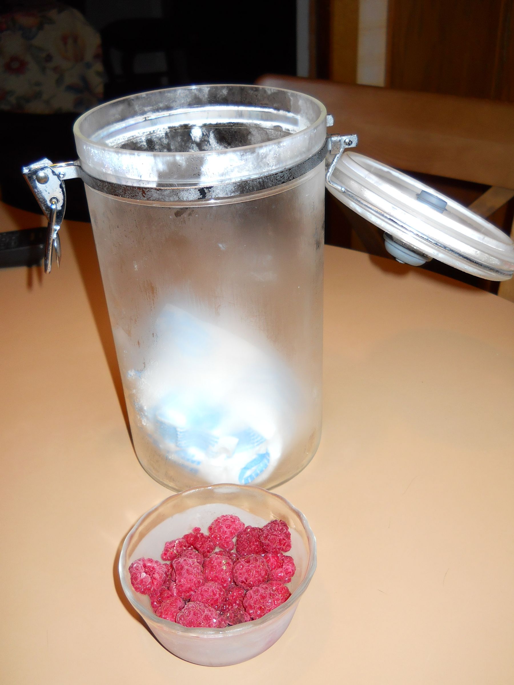 Freeze Dry at Home : 6 Steps - Instructables