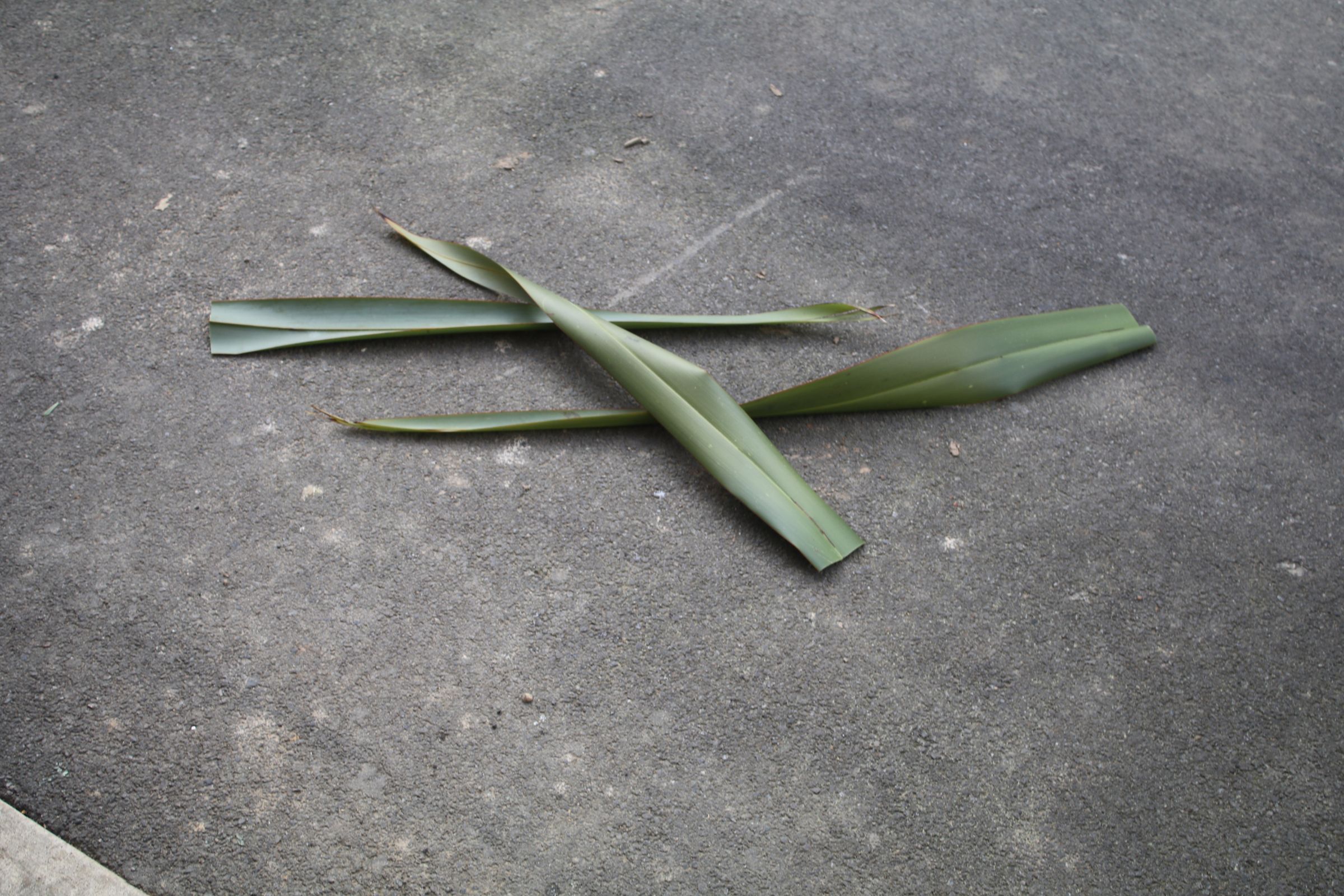 How to Carve a Flax Boat : 10 Steps (with Pictures) - Instructables