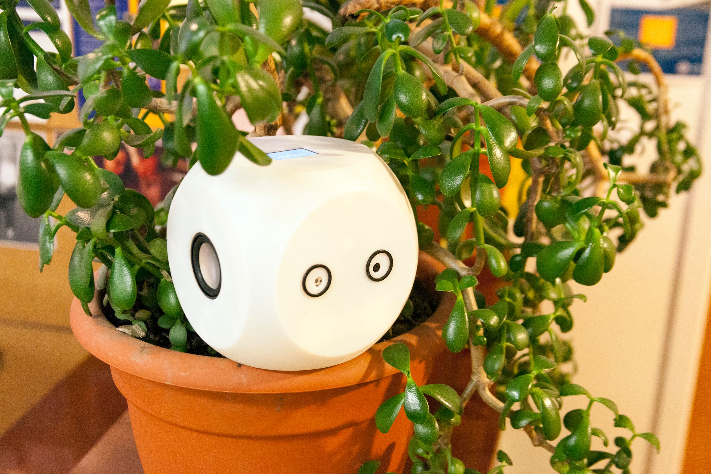 Noodle: a Crowdsourced Robot : 19 Steps (with Pictures) - Instructables