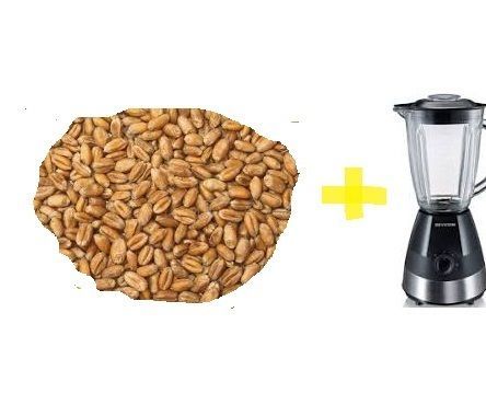How: Make Flour in a Blender - Instructables