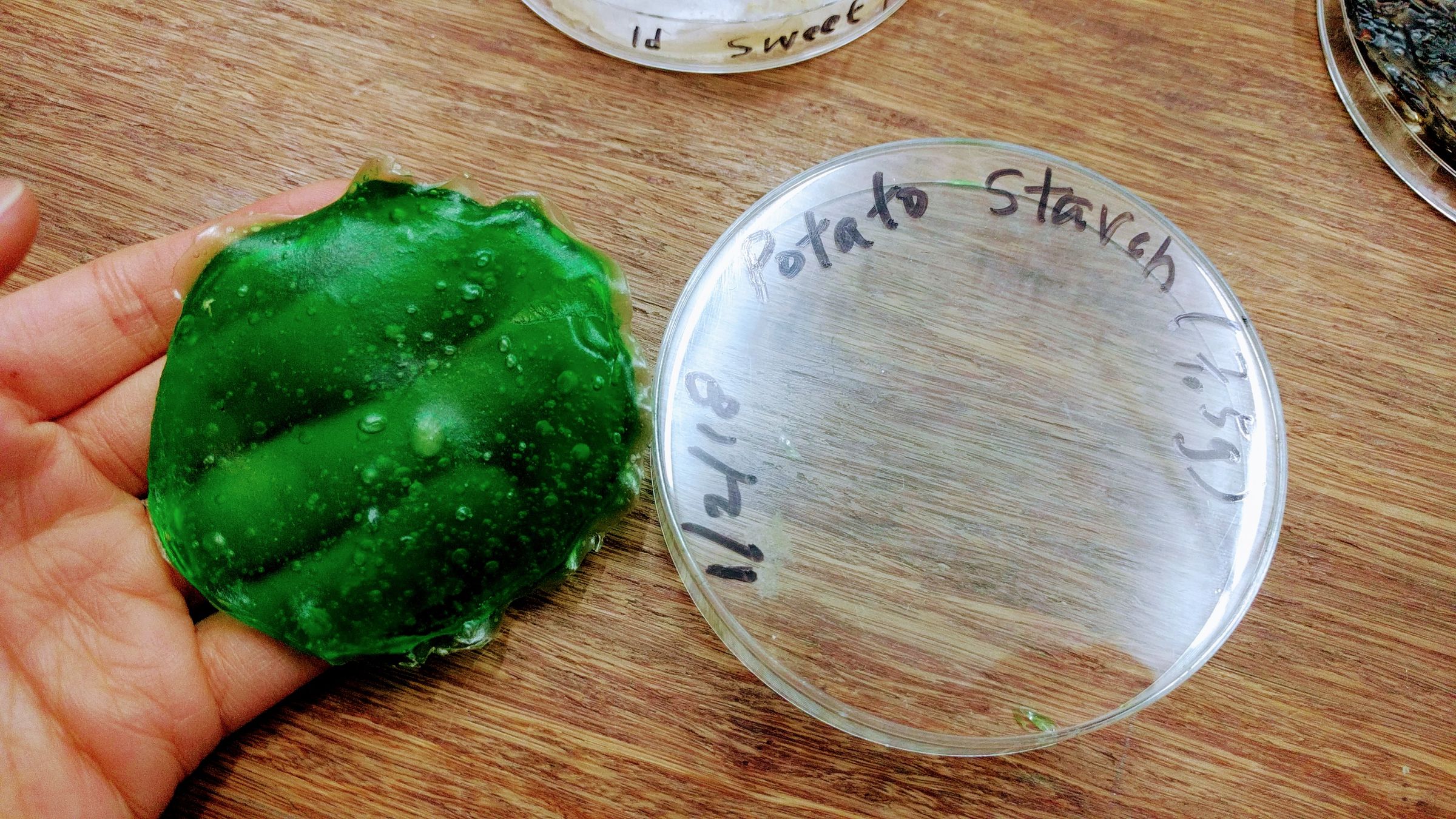 Make Your Own Bioplastics! : 4 Steps (with Pictures) - Instructables