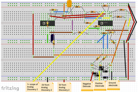 DIY ECG Using a Analog Discovery 2 and LabVIEW : 8 Steps - Instructables