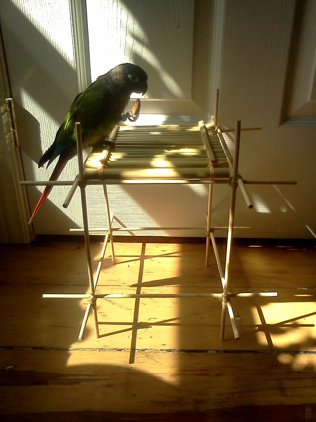 Basic Cube Structure (parrot Platform) : 4 Steps - Instructables