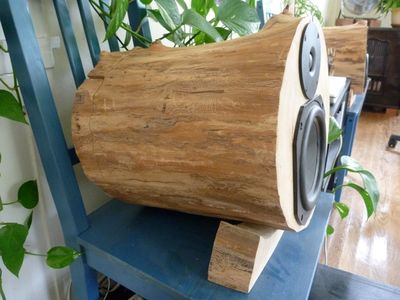 Tree Speakers : 10 Steps (with Pictures) - Instructables