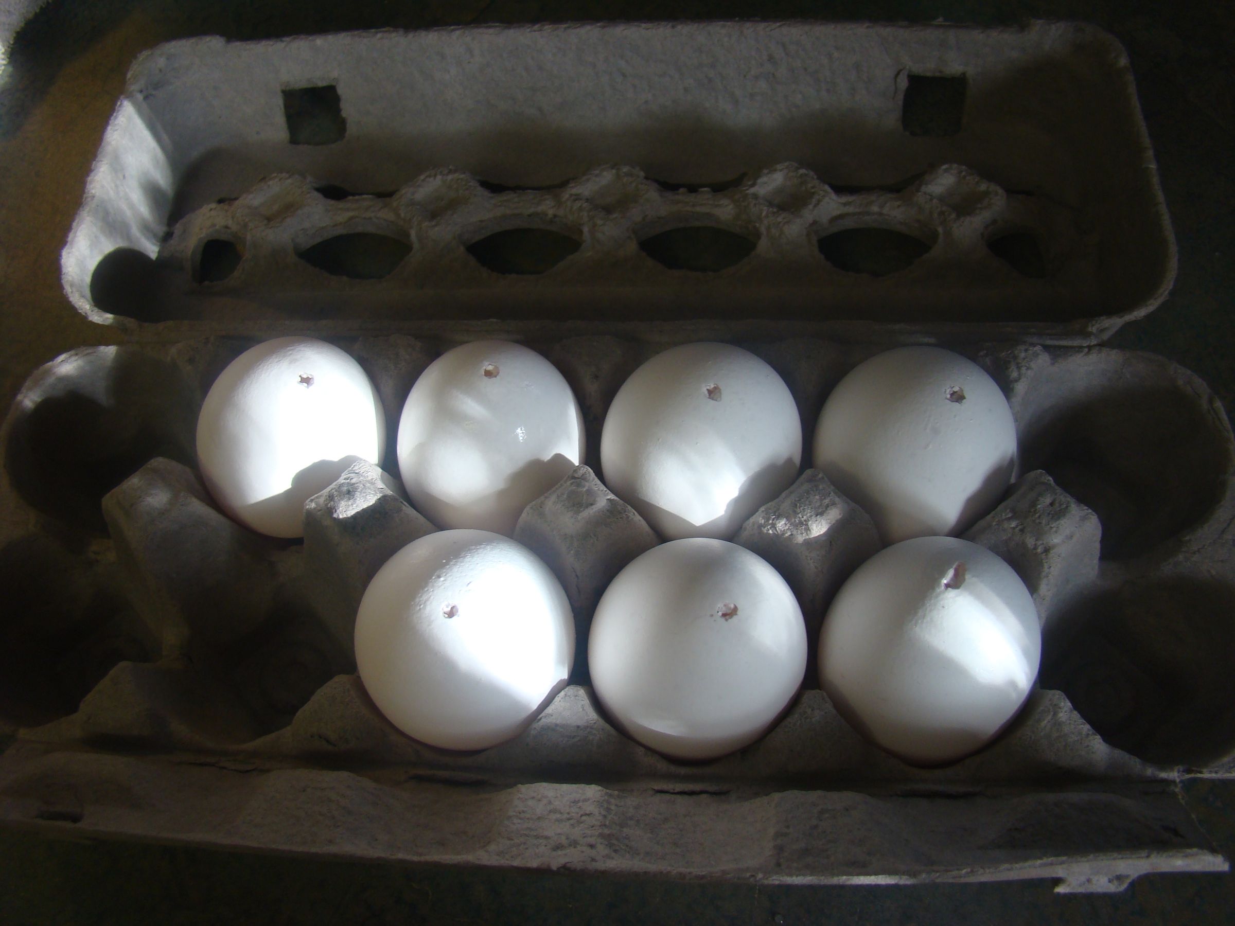 How to Blow Egg Out of Egg Shells : 8 Steps (with Pictures) - Instructables