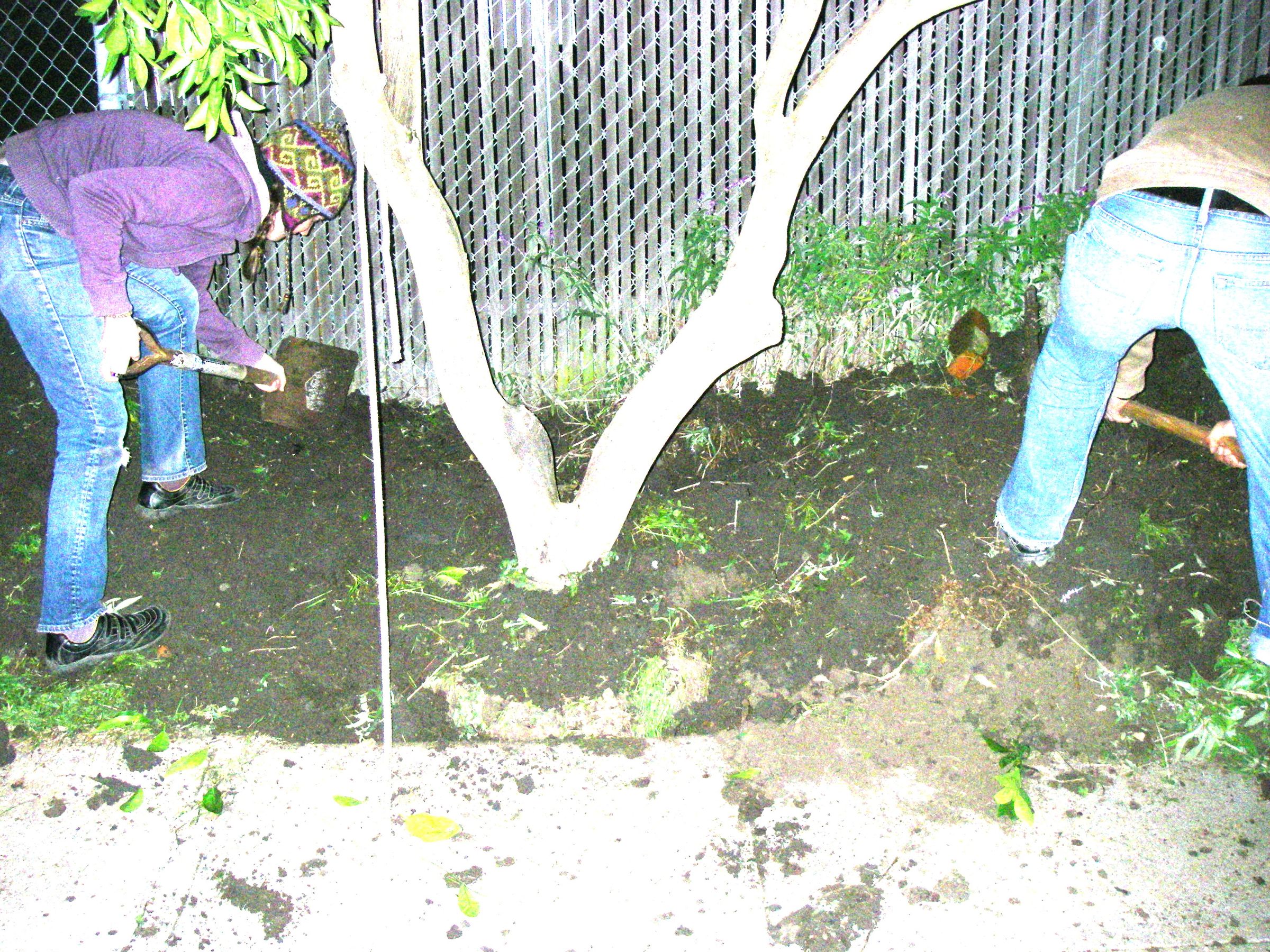 How to Move a Tree, Vehicle and A-frame Method : 17 Steps (with ...