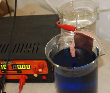 Electroforming an Iris Seed Pod : 18 Steps (with Pictures) - Instructables