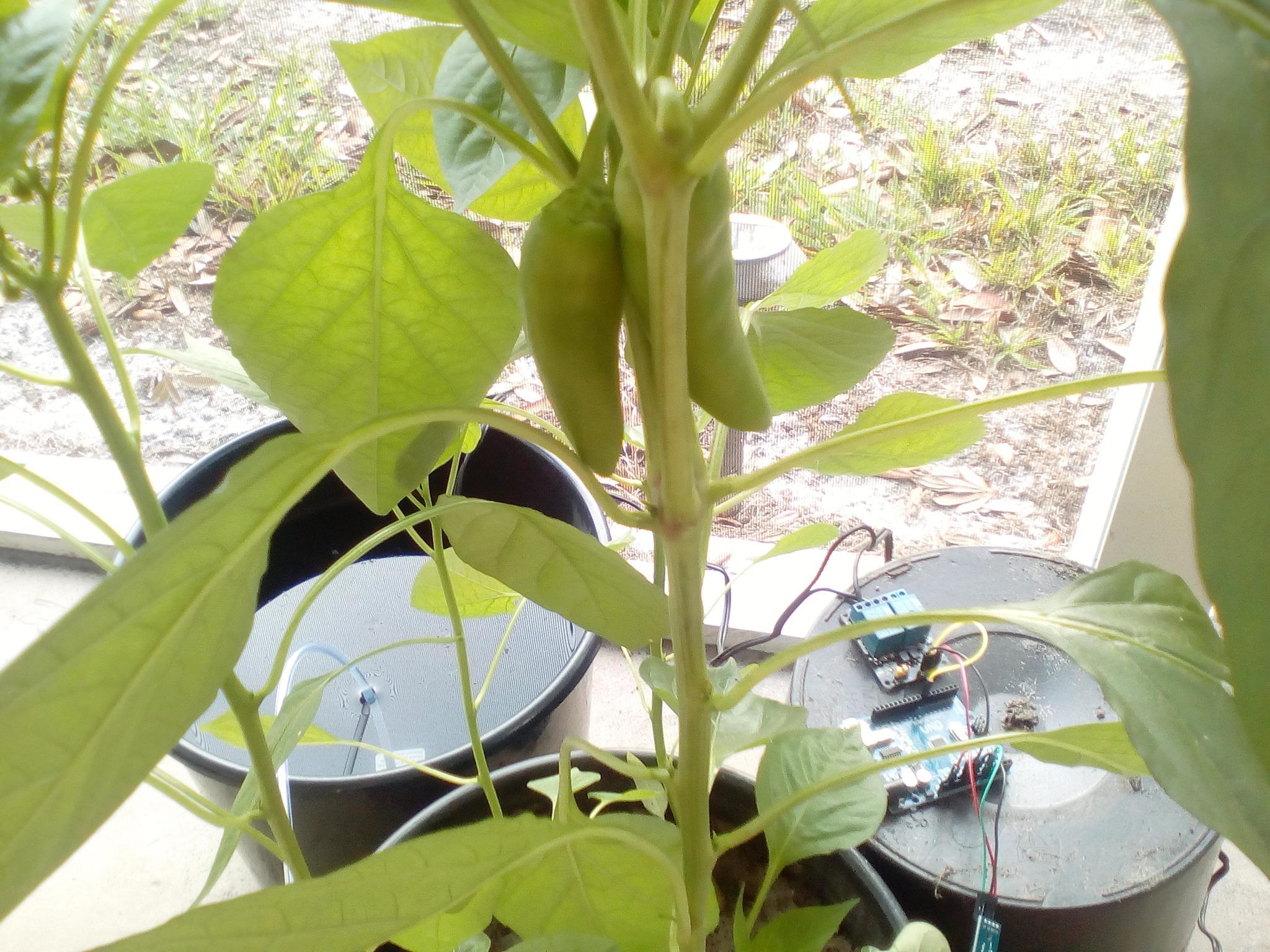 Lazy Man's Automatic Plant Watering Robot : 4 Steps (with Pictures ...