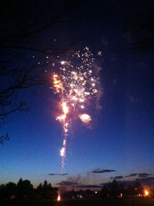 How to Plan and Launch a Fireworks Show : 12 Steps (with Pictures ...