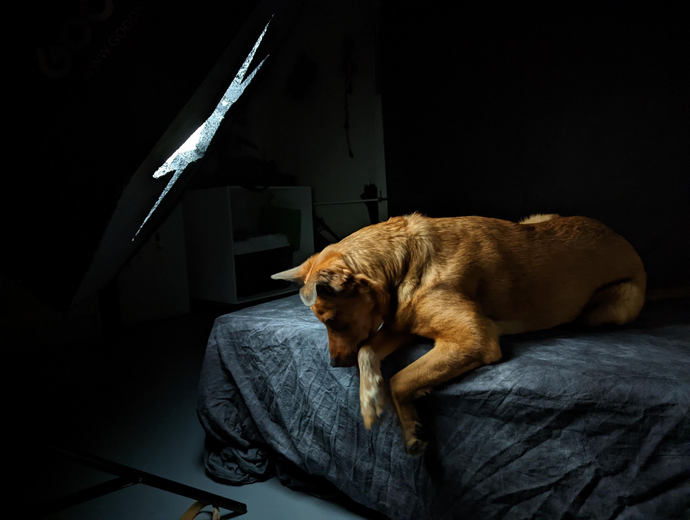 Changing the Shape of Catch Lights in Photography : 7 Steps (with ...